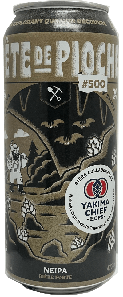 Tete De Pioche 500 - Le Prospecteur - Masoif.com